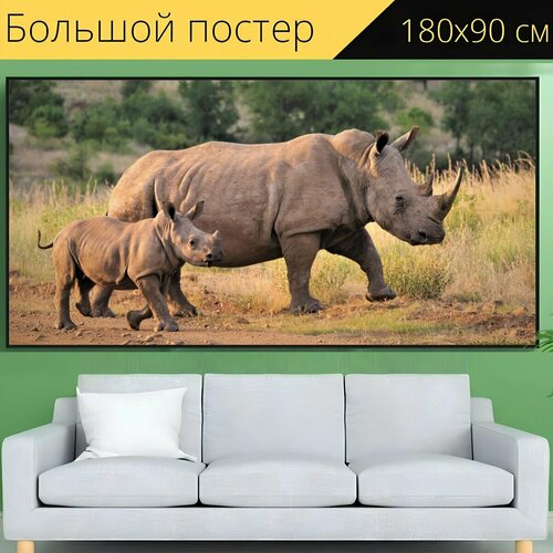 Большой постер "Белый носорог, телец, мама" 180 x 90 см. для интерьера