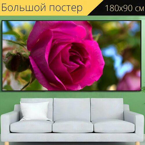 Большой постер "Роза, бутон розы, розовый" 180 x 90 см. для интерьера
