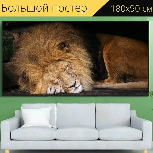 Большой постер "Лев, животное, царь зверей" 180 x 90 см. для интерьера