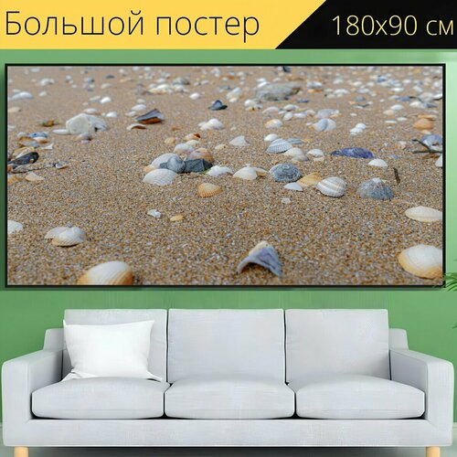 Большой постер "Оболочка, море, пляж" 180 x 90 см. для интерьера