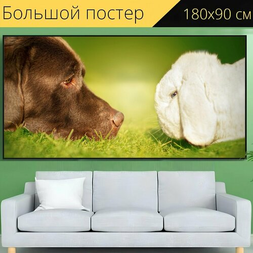 Большой постер "Собака, кролик, лабрадор" 180 x 90 см. для интерьера