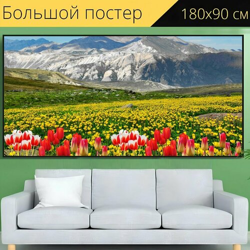 Большой постер "Тюльпаны, поле рапса, горы" 180 x 90 см. для интерьера