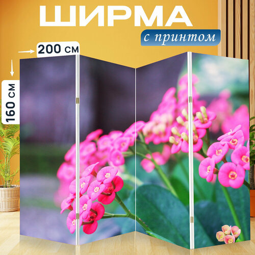 Ширма перегородка с принтом "Весна, цветок, цветочный" на холсте - 200x160 см. для зонирования, раскладная
