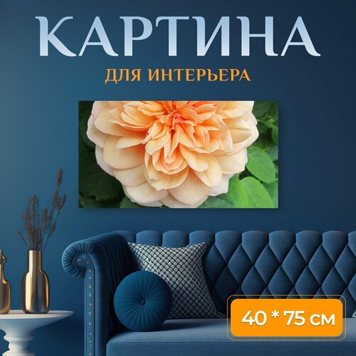 Картина на холсте "Апельсин, цветок, роза" на подрамнике 75х40 см. для интерьера