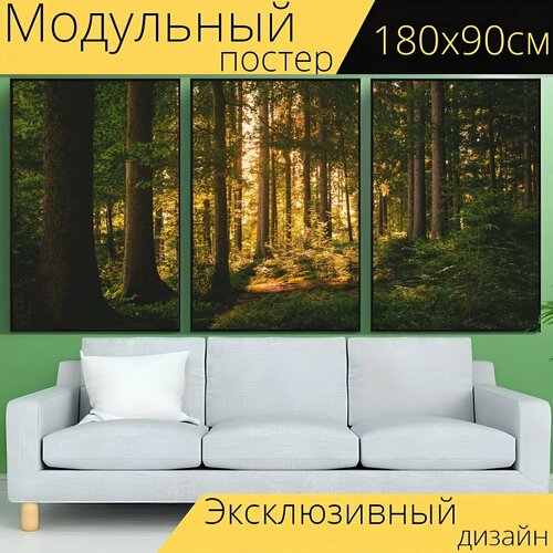 Модульный постер "Лес, деревья, природа" 180 x 90 см. для интерьера