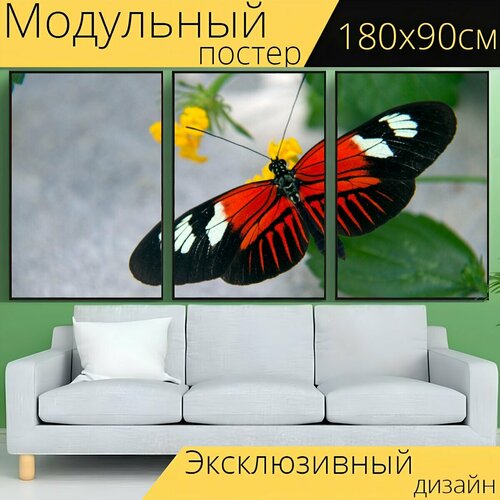Модульный постер "Бабочка, природа, апельсин" 180 x 90 см. для интерьера