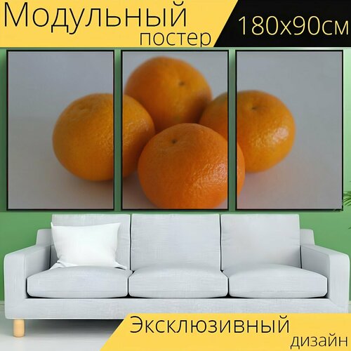 Модульный постер "Клементины, фрукты, витамины" 180 x 90 см. для интерьера