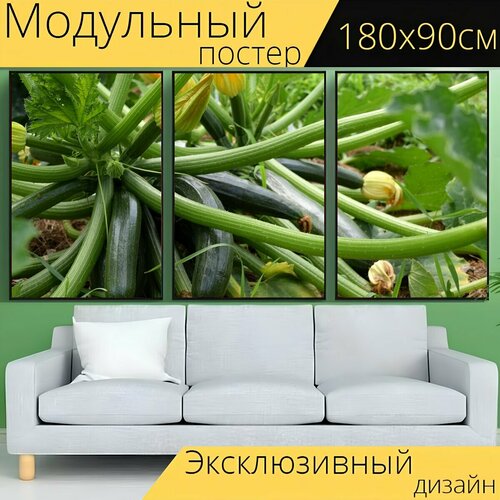 Модульный постер "Цуккини, сад, еда" 180 x 90 см. для интерьера