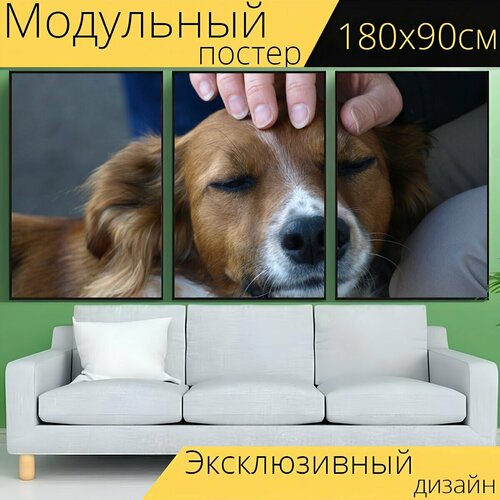 Модульный постер "Собака, поглаживание, любовь" 180 x 90 см. для интерьера