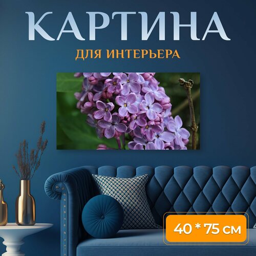 Картина на холсте "Сирень, весна, летом" на подрамнике 75х40 см. для интерьера