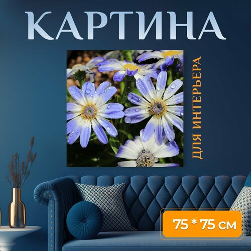 Картина на холсте "Хризантема, трикл, цветы" на подрамнике 75х75 см. для интерьера