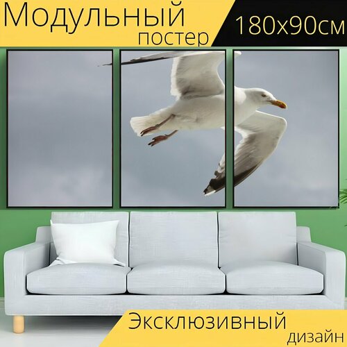 Модульный постер "Птица, чайка, полет" 180 x 90 см. для интерьера
