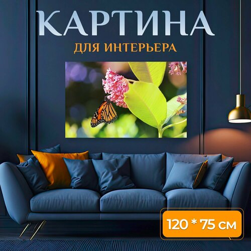 Картина на холсте "Бабочка монарх, насекомое, молочая" на подрамнике 120х75 см. для интерьера