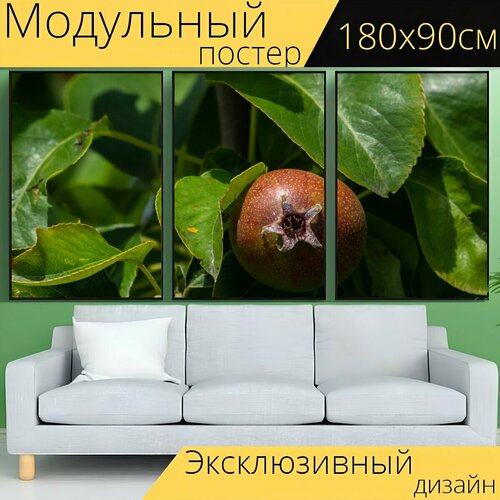 Модульный постер "Груша, фрукты, пугало" 180 x 90 см. для интерьера