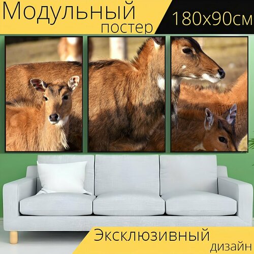 Модульный постер "Олень коза антилопа, дикое животное, африканское дикое животное" 180 x 90 см. для интерьера