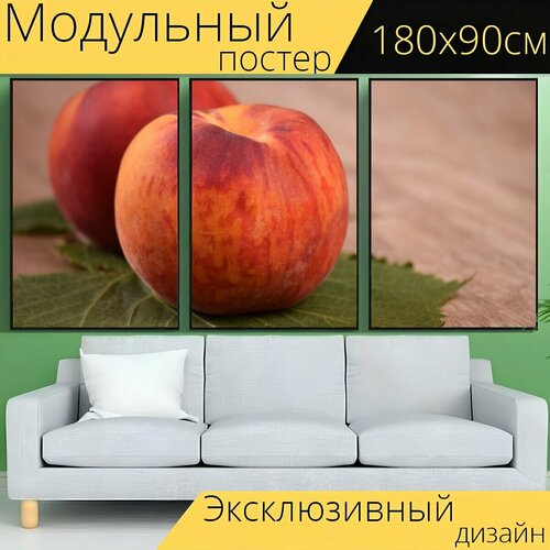 Модульный постер "Еда, персик, нектарин" 180 x 90 см. для интерьера