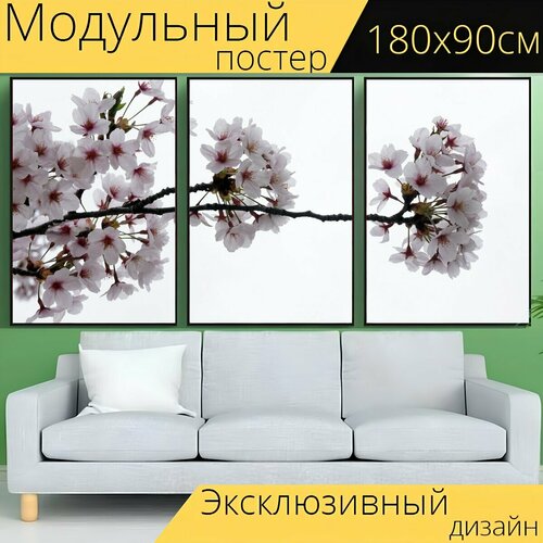 Модульный постер "Весна, цветок, вишни в цвету" 180 x 90 см. для интерьера