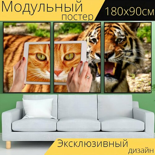 Модульный постер "Тигр, большой кот, домашняя кошка" 180 x 90 см. для интерьера