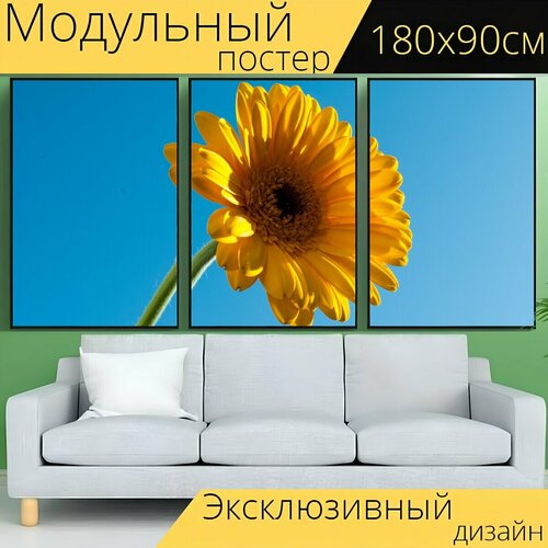 Модульный постер "Маргаритка, цветок, жёлтый" 180 x 90 см. для интерьера