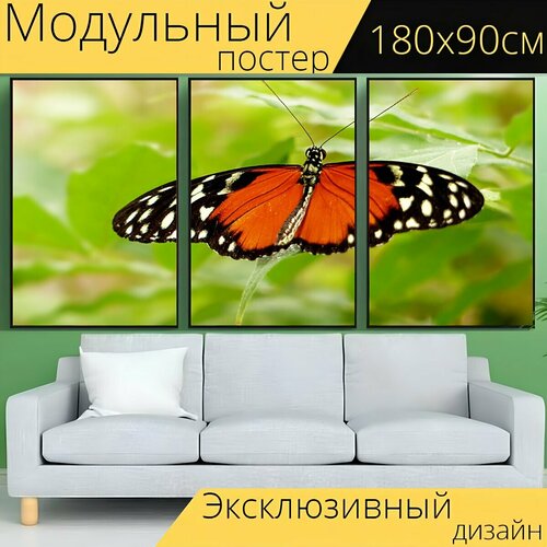 Модульный постер "Природа, насекомое, бабочка" 180 x 90 см. для интерьера