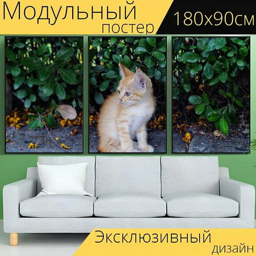 Модульный постер "Кошка, котенок, киска кошка" 180 x 90 см. для интерьера