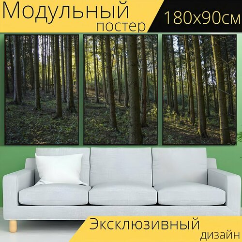 Модульный постер "Лес, деревья, лесной массив" 180 x 90 см. для интерьера