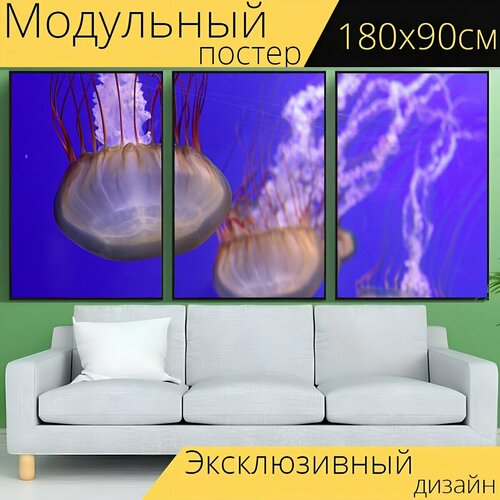 Модульный постер "Медуза, вода, подводный" 180 x 90 см. для интерьера