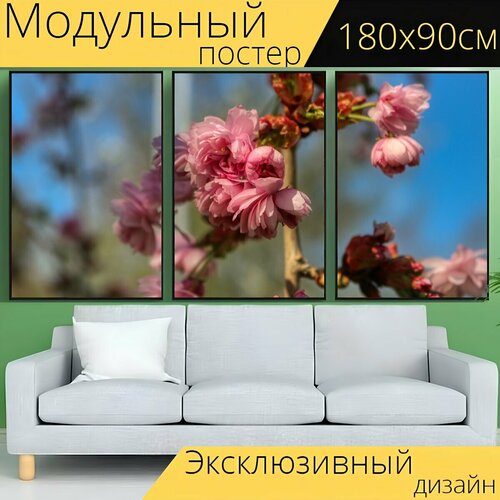 Модульный постер "Цветок, весна, розовый" 180 x 90 см. для интерьера