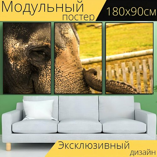 Модульный постер "Слон, животное, дикая природа" 180 x 90 см. для интерьера