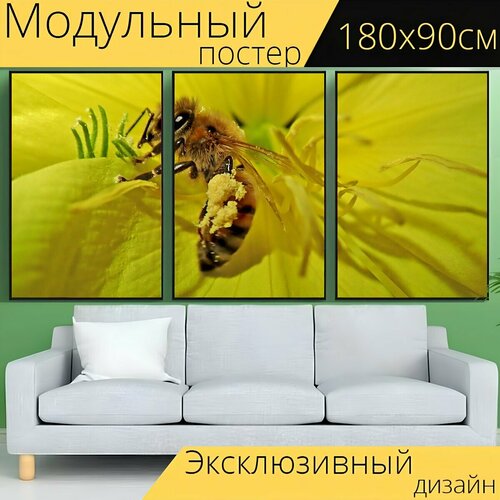 Модульный постер "Насекомое, пчела, цветочная пыльца" 180 x 90 см. для интерьера