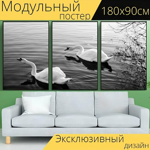 Модульный постер "Лебедь, птица, вода" 180 x 90 см. для интерьера