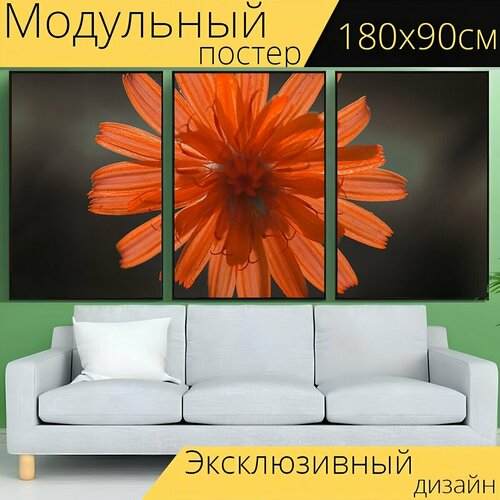 Модульный постер "Апельсин, цветы, этажи" 180 x 90 см. для интерьера