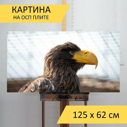 Картина на ОСП 125х62 см. "Море, орел, природа" горизонтальная, для интерьера, с креплениями