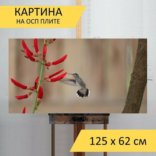 Картина на ОСП 125х62 см. "Красный цветок, колибри, птица" горизонтальная, для интерьера, с креплениями