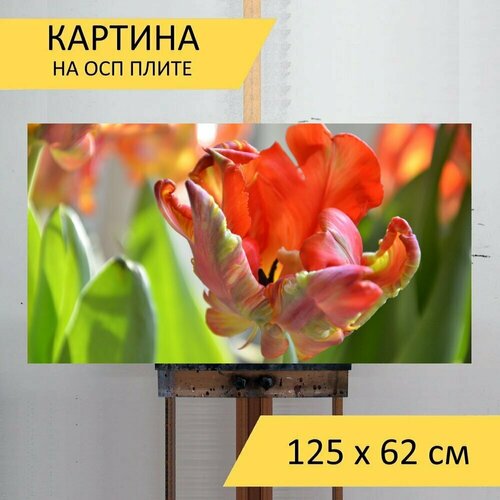 Картина на ОСП 125х62 см. "Тюльпаны, тюльпан, весной" горизонтальная, для интерьера, с креплениями