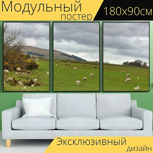 Модульный постер "Овец, трава, природа" 180 x 90 см. для интерьера