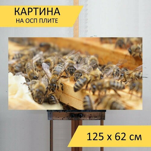 Картина на ОСП 125х62 см. "Пчелы, пчеловодство, улей" горизонтальная, для интерьера, с креплениями