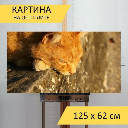 Картина на ОСП 125х62 см. "Кот, домашнее животное, рыжий кот" горизонтальная, для интерьера, с креплениями
