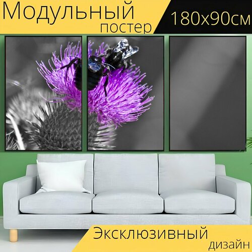 Модульный постер "Пчелы, цветок, фиолетовый" 180 x 90 см. для интерьера