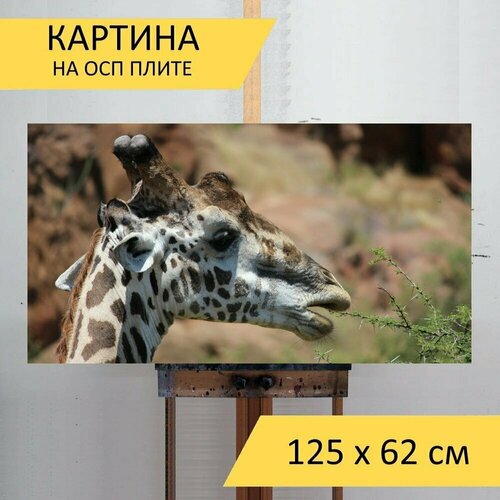 Картина на ОСП 125х62 см. "Жирафа, цаво, кения" горизонтальная, для интерьера, с креплениями