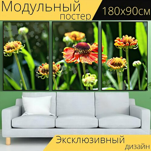 Модульный постер "Клеща сорняков, цветок, сад" 180 x 90 см. для интерьера