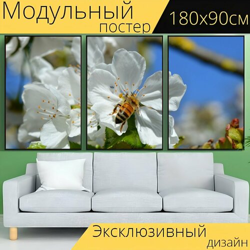 Модульный постер "Цветение вишни, белые цветки, пчела" 180 x 90 см. для интерьера