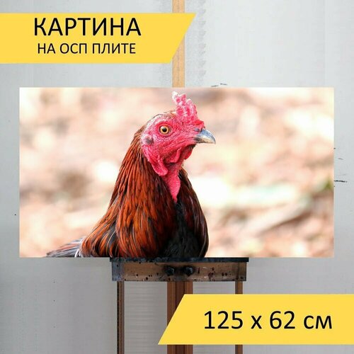 Картина на ОСП 125х62 см. "Курица, голова, домашняя птица" горизонтальная, для интерьера, с креплениями