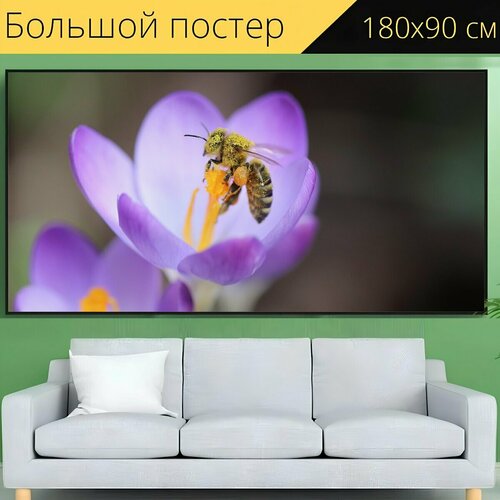 Большой постер "Пчела, крокус, цветочная пыльца" 180 x 90 см. для интерьера
