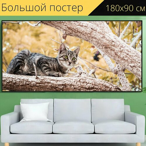 Большой постер "Кошка, полосатый кот, филиал" 180 x 90 см. для интерьера