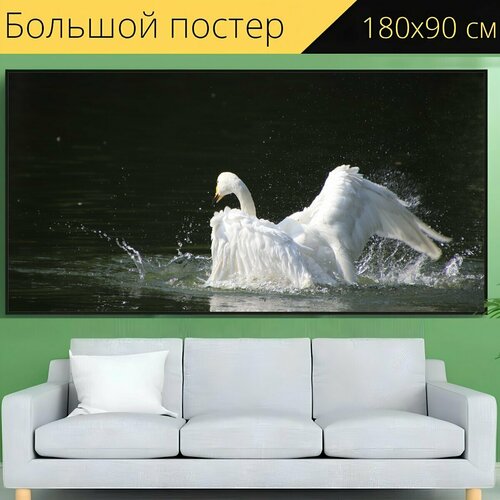 Большой постер "Лебедь, птица, озеро" 180 x 90 см. для интерьера