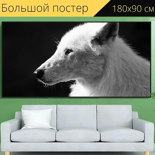 Большой постер "Арктический волк, животное, черное и белое" 180 x 90 см. для интерьера