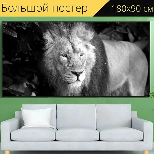 Большой постер "Лев, животное, дикий" 180 x 90 см. для интерьера