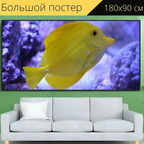 Большой постер "Рыба, желтоватая, морская вода" 180 x 90 см. для интерьера