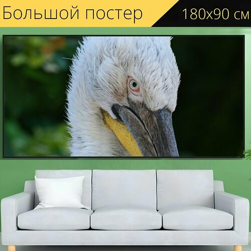 Большой постер "Пеликан, птица, глаз" 180 x 90 см. для интерьера